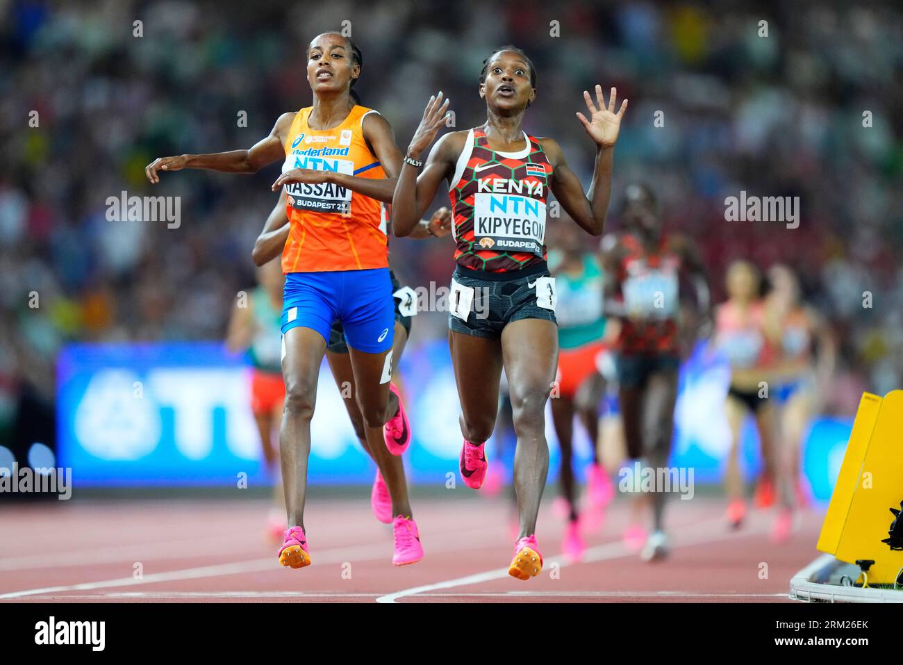 Faith Kipyegon, of Kenya celebrates as she wins the gold medal ahead of ...