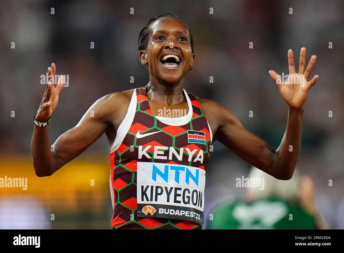 Faith Kipyegon, of Kenya celebrates as she wins the gold medal in the ...