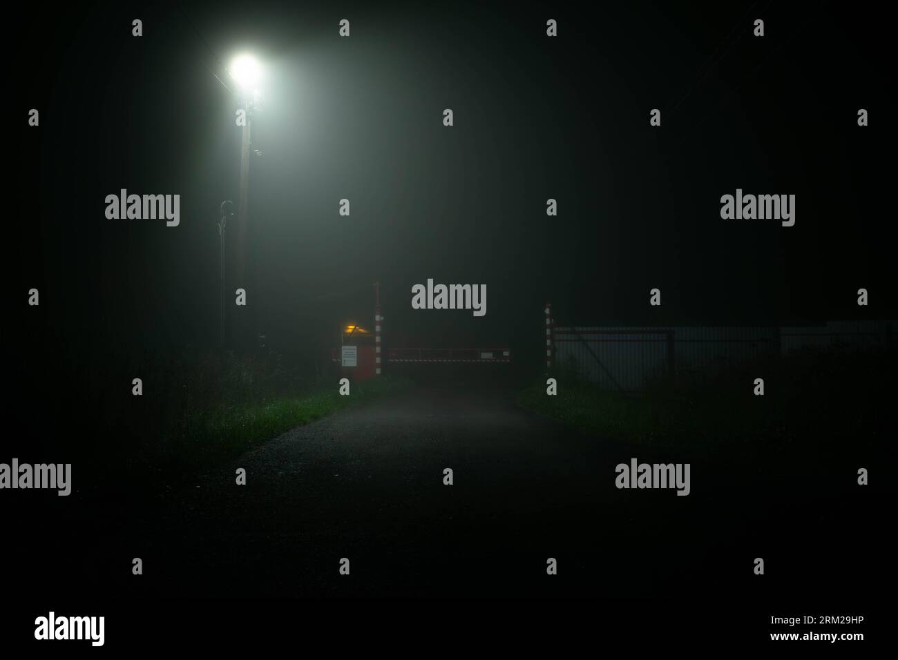 Foggy street in the light of a lantern Stock Photo - Alamy