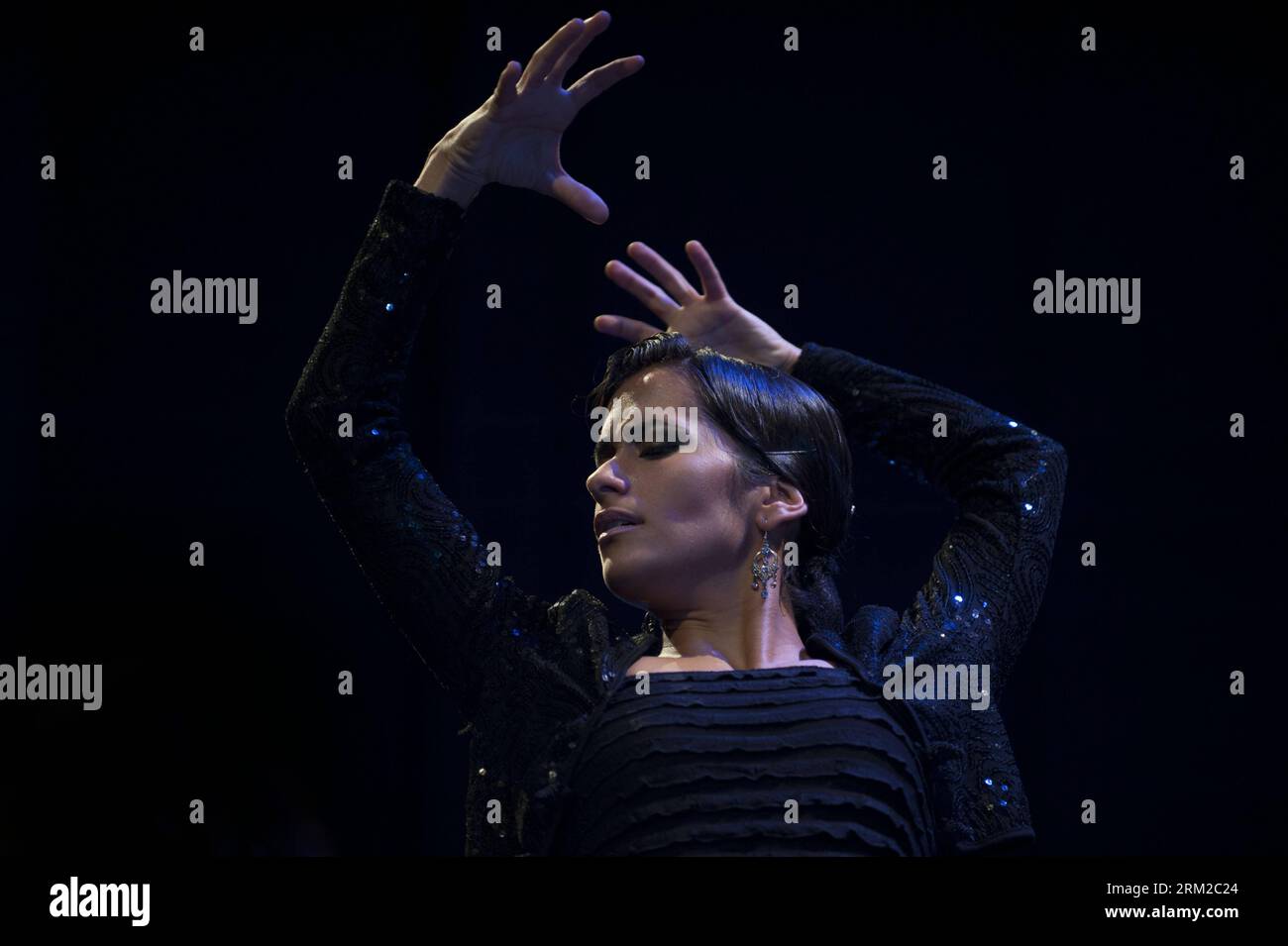 Suma flamenca hi-res stock photography and images - Alamy