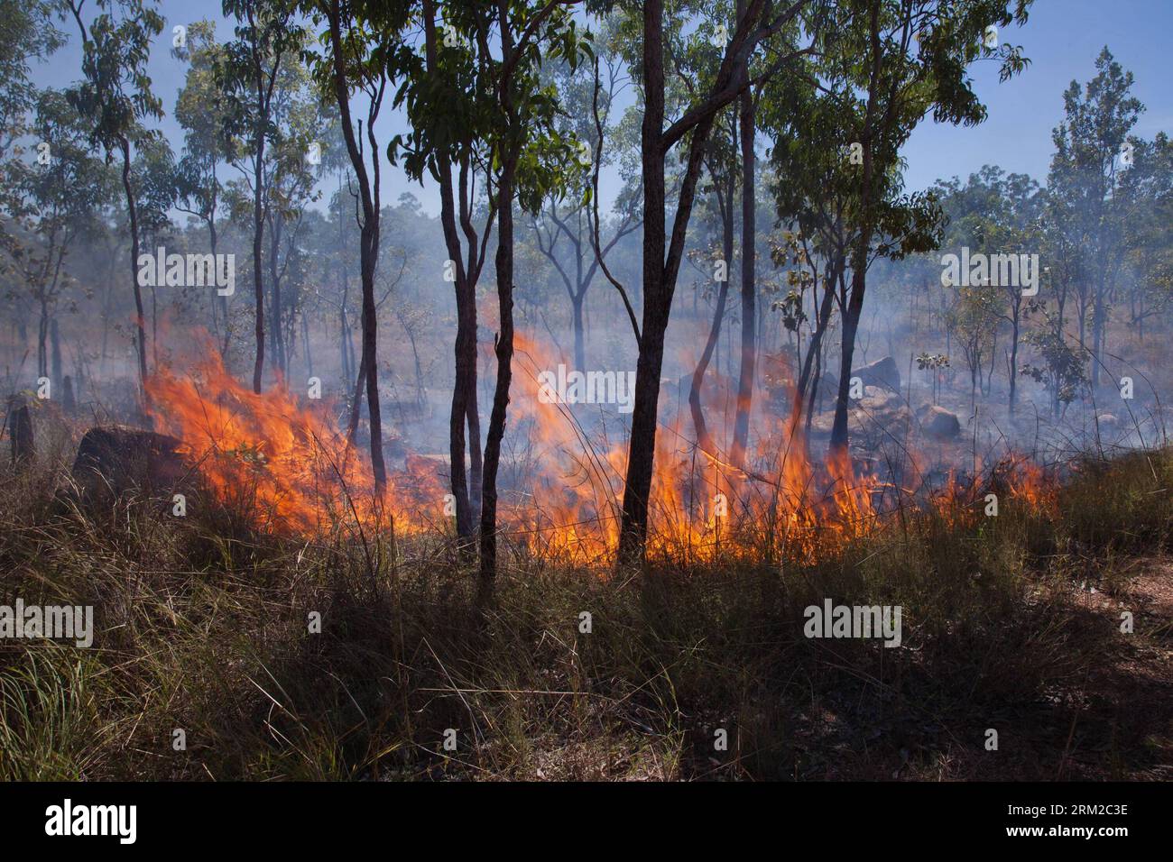 Aboriginal and burn hi-res stock photography and images - Alamy
