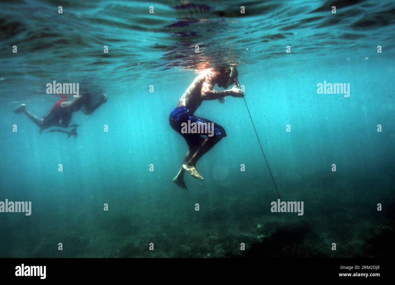 Spearing fish hi-res stock photography and images - Alamy