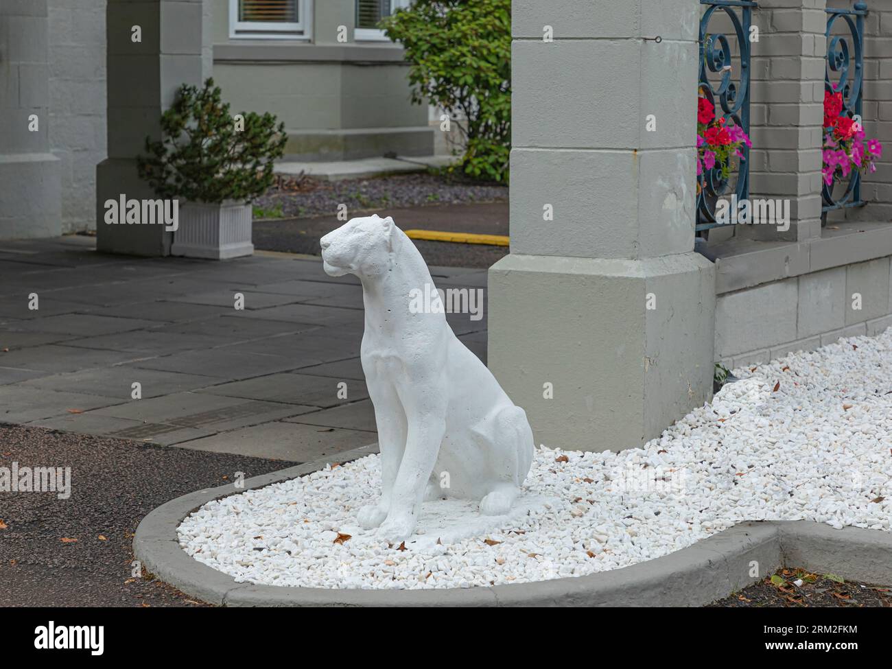 Large white stone cat stood outside an ornate entrance to a building ...