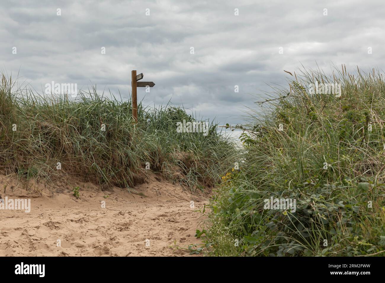 Wooden sign post on the beach pointing in two directions Stock Photo ...