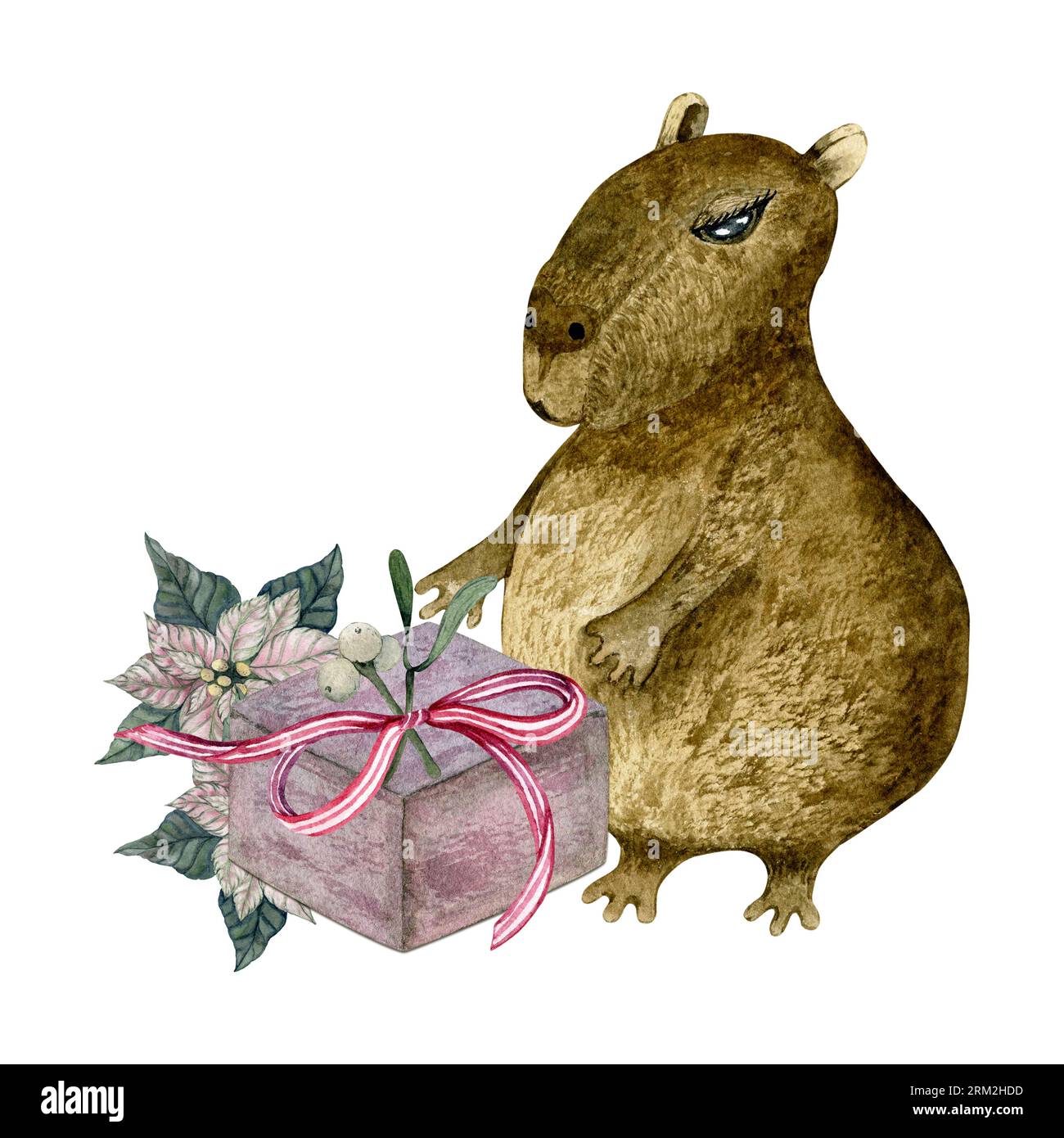Cute South American animal. Capybara. Christmas gift. Poinsettia ...