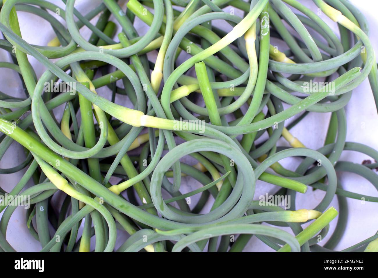 In the pile are young harvested garlic arrows Stock Photo - Alamy