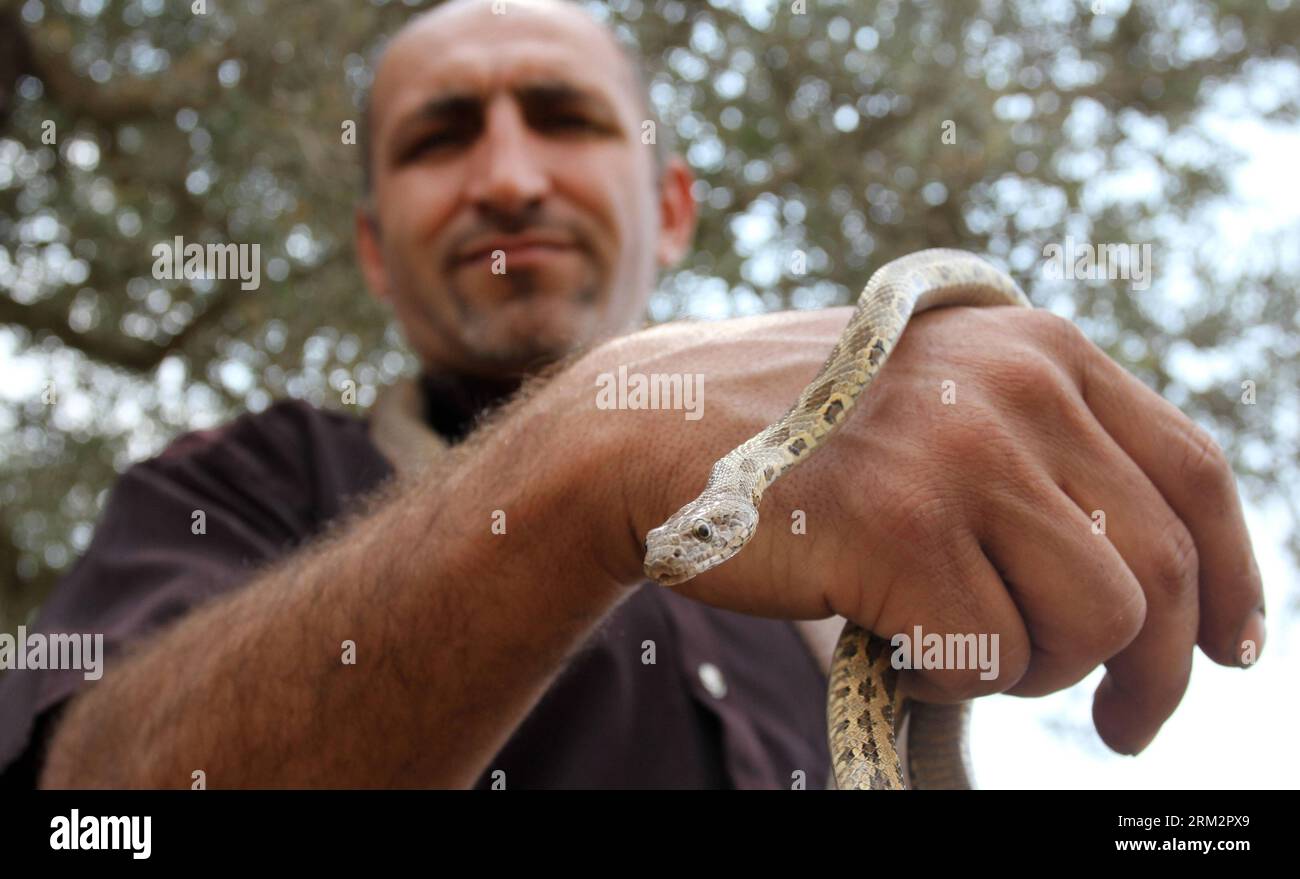 Palestinian snakes hi-res stock photography and images - Alamy