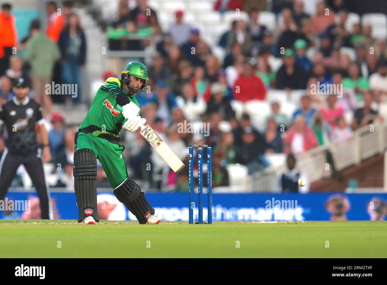 Devon conway 'hundred' hi-res stock photography and images - Alamy