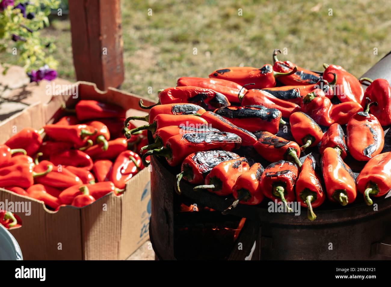 Roasting red peppers, paprika, for preparation of ajvar. Traditional ...