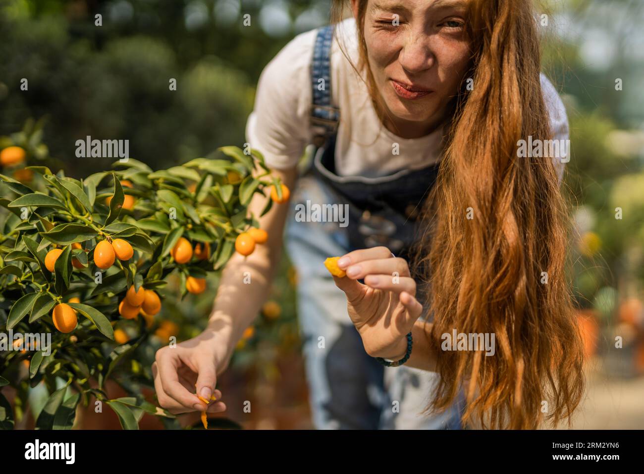 Bitter fruit reaction hi-res stock photography and images - Alamy