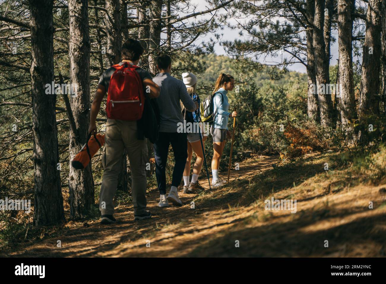 Team four hiking in forest hi-res stock photography and images - Alamy