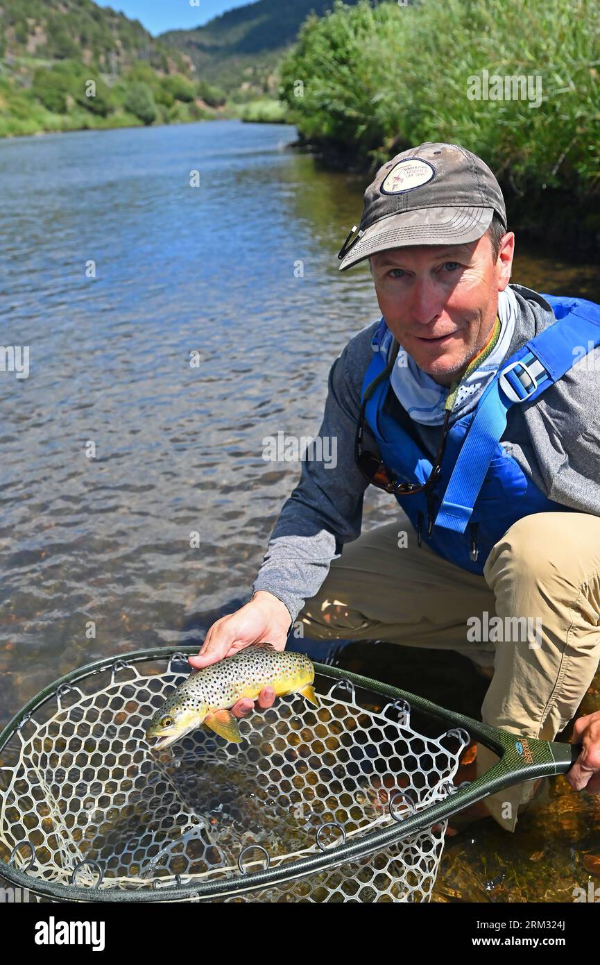 Fish releases from net hi-res stock photography and images - Alamy