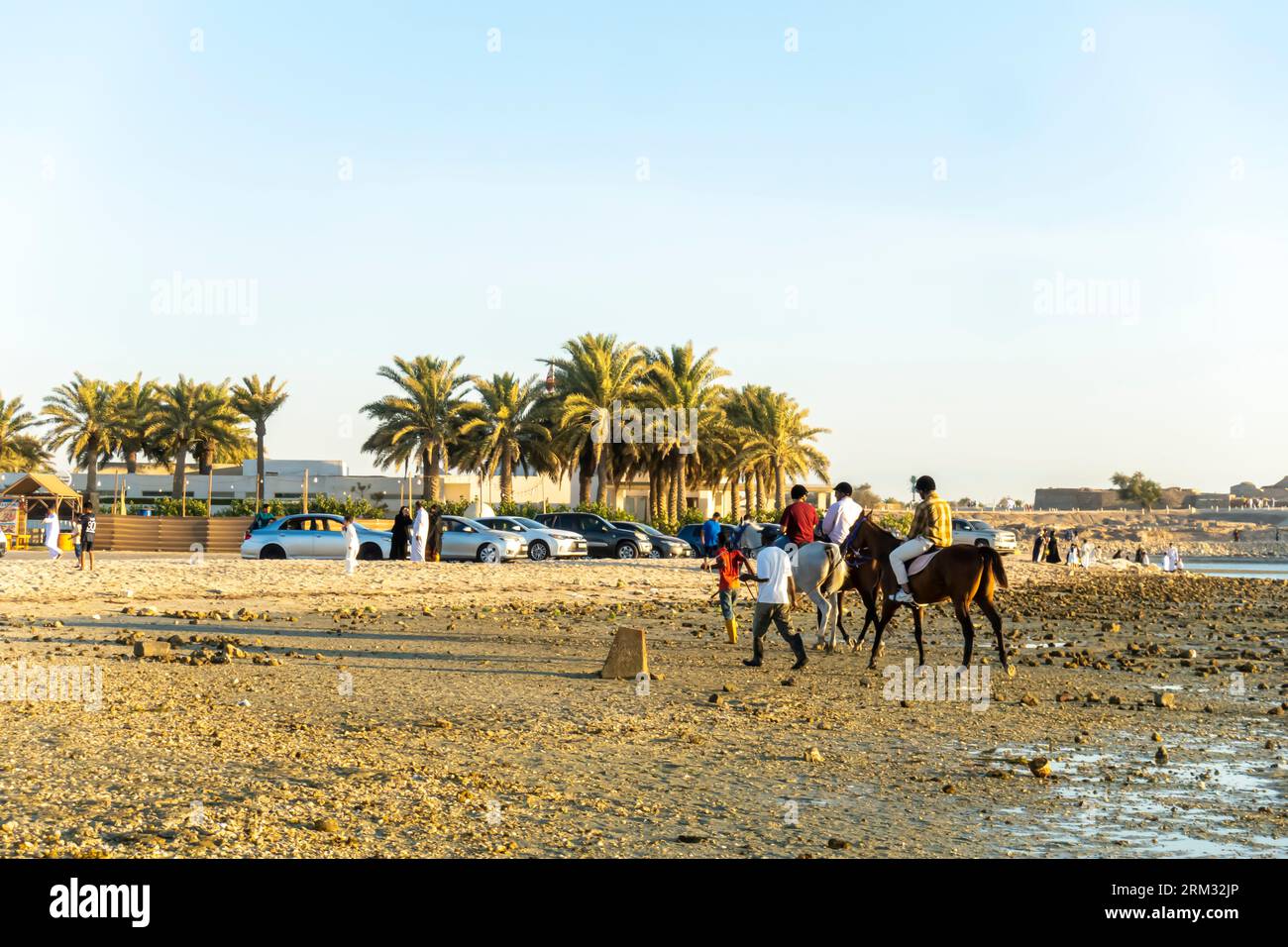 Horse riding led by a man at the Karbabad beach, Seef Bahrain Stock ...