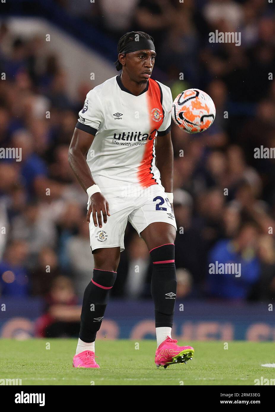 V amarii bell hi-res stock photography and images - Alamy