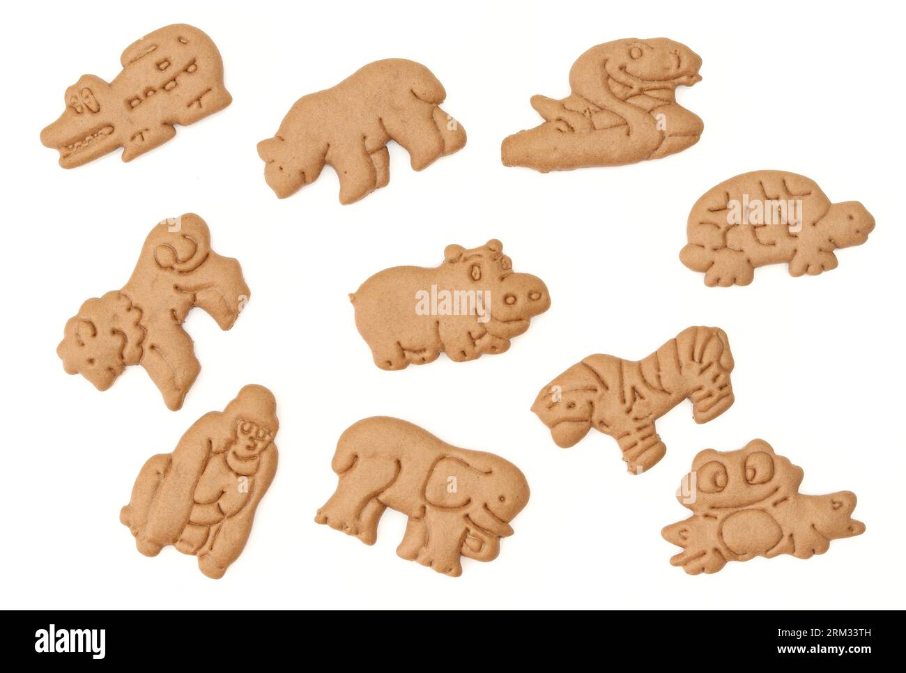Collection set of animal shaped cookies for kids isolated on white ...