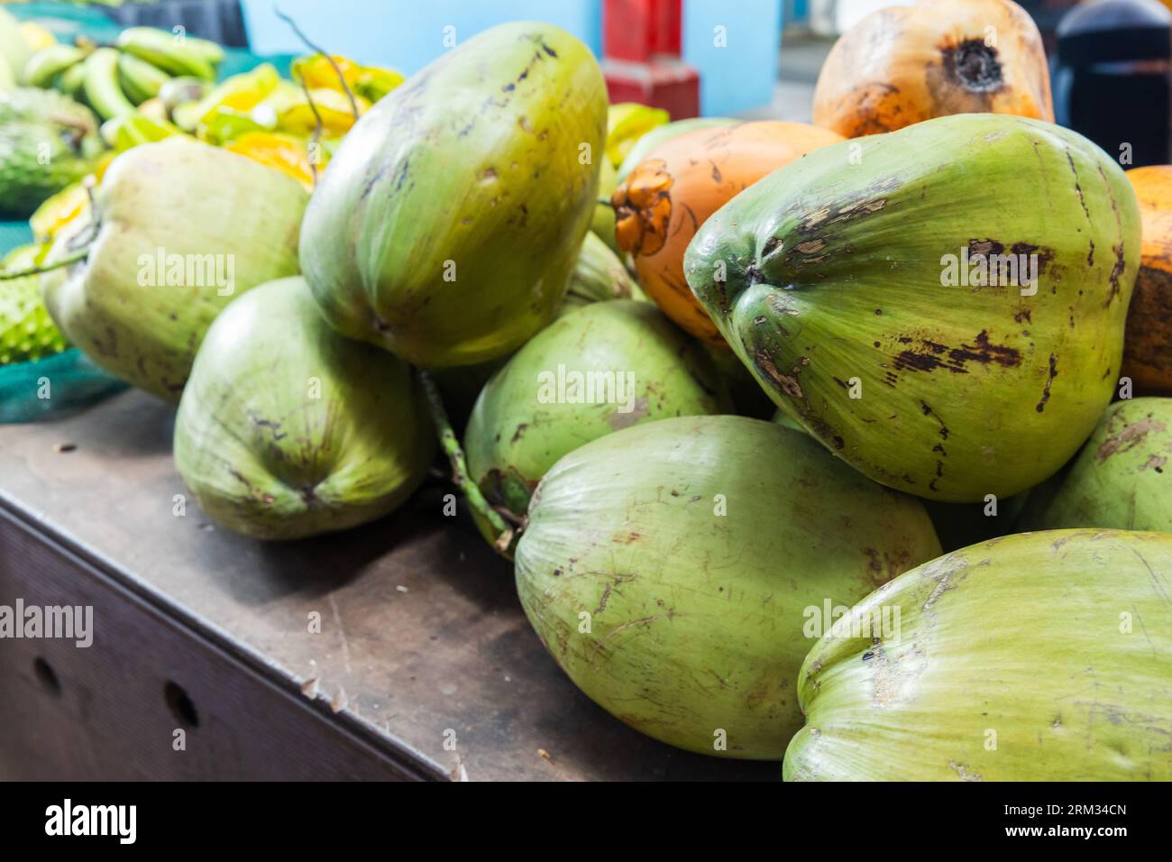Seychelles nut hi-res stock photography and images - Alamy
