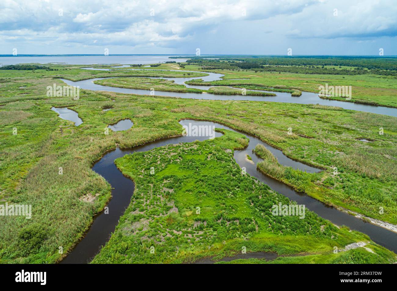 Little big econlockhatchee wildlife management area kilbee unit hi-res ...