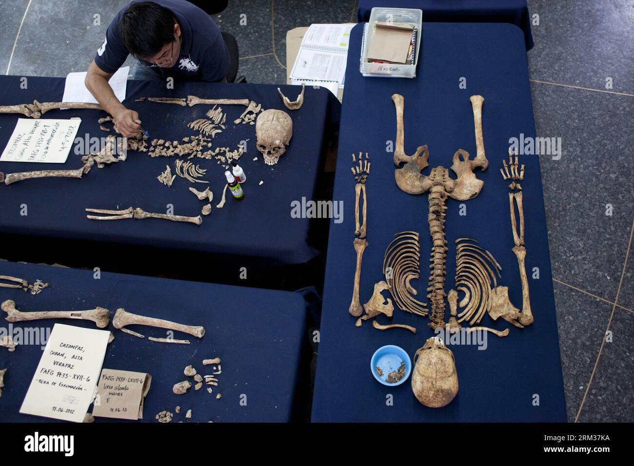 Skeletal remains victim hi-res stock photography and images - Alamy