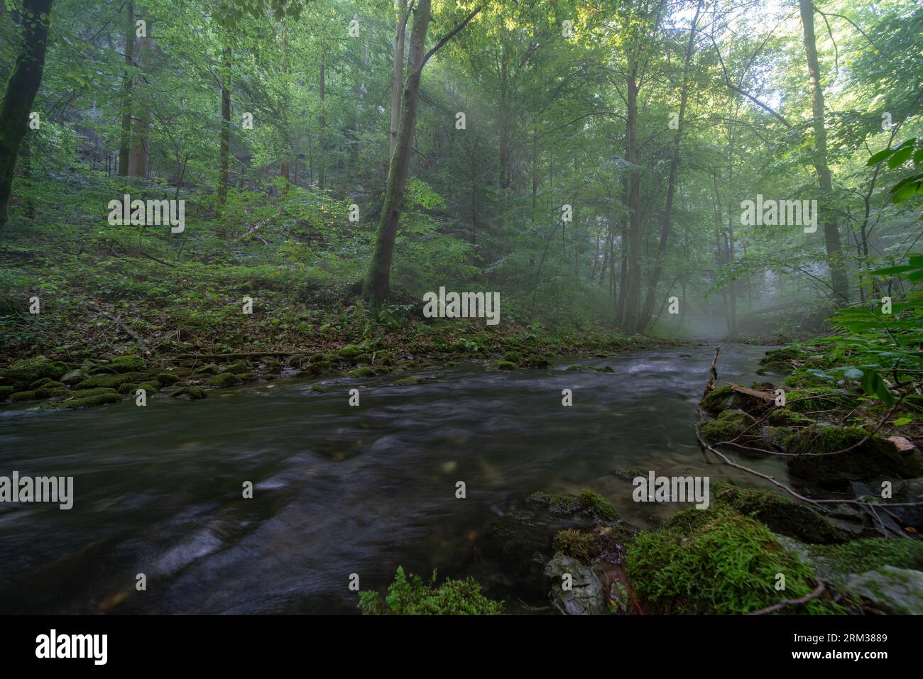 Wide angle shot of forested Punkva river valley in Moravian karst ...