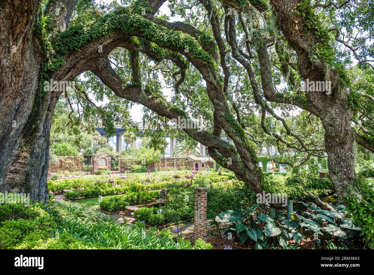 Jacksonville Florida,Cummer Museum of Art & Gardens,Lower Lawn English ...