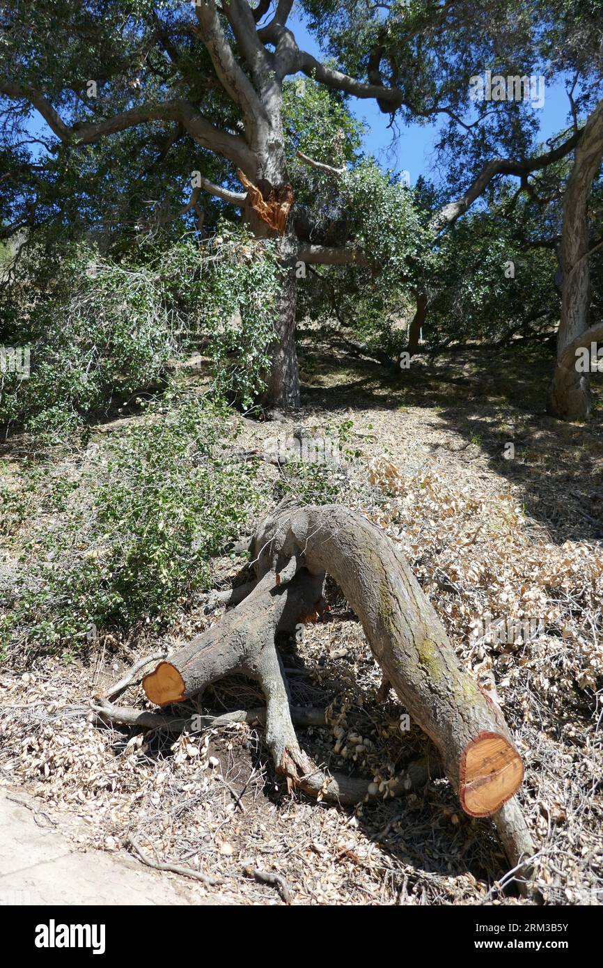 Los Angeles, California, USA 22nd August 2023 A general view of ...