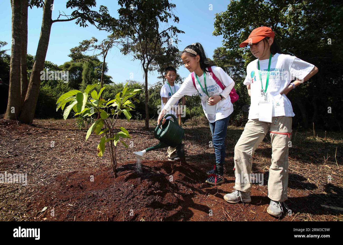 Scarce trees hi-res stock photography and images - Alamy