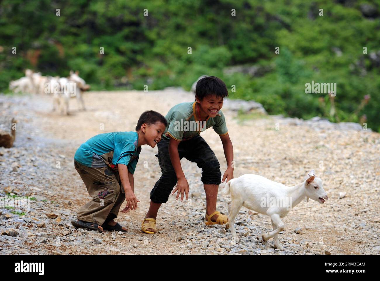 Goat major hi-res stock photography and images - Alamy