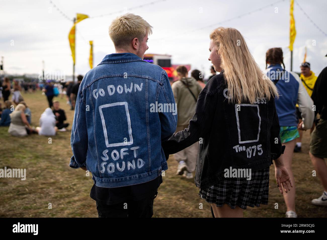 The 1975 fans at the Reading Music Festival, England, Saturday, Aug. 26 ...