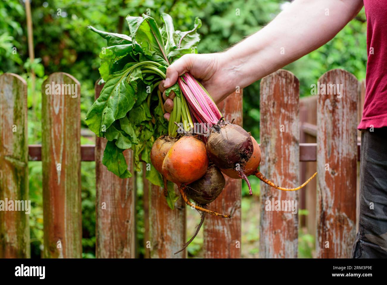 Vitamin work hi-res stock photography and images - Alamy