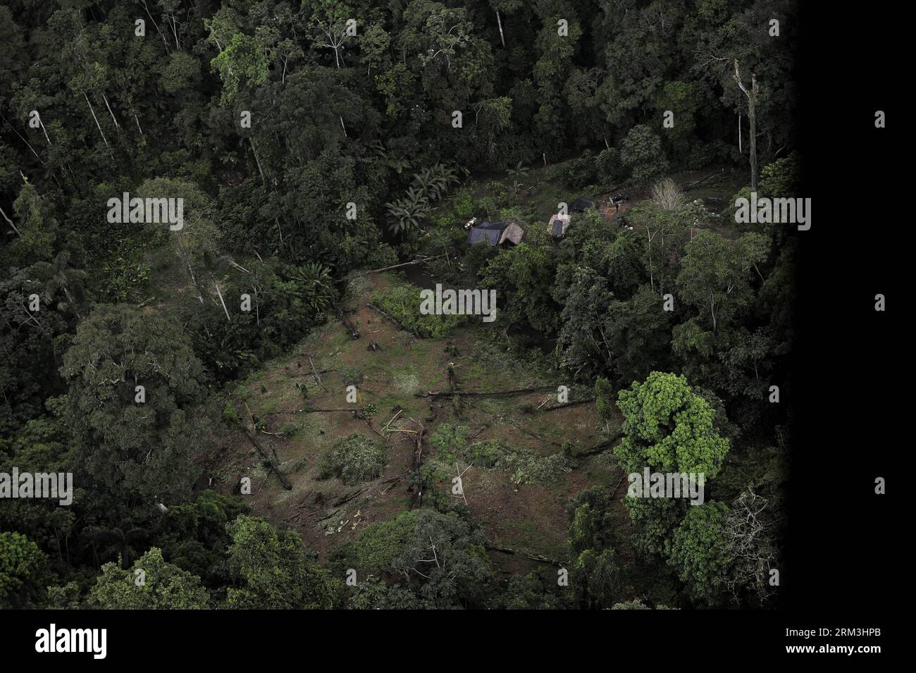 Jungle drug lab hi-res stock photography and images - Alamy