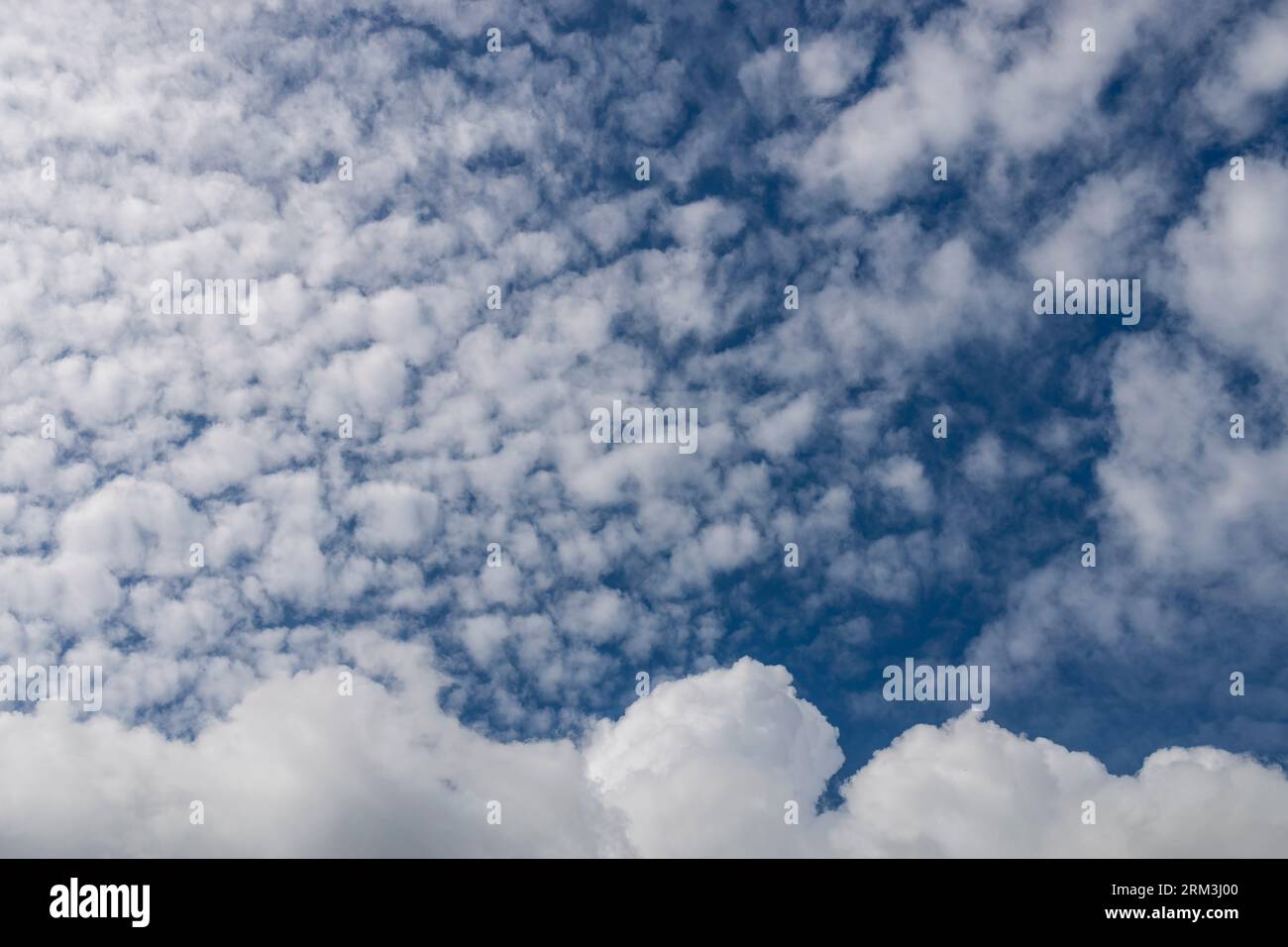 Sky nature wallpaper with cumulus and feather clouds Stock Photo - Alamy