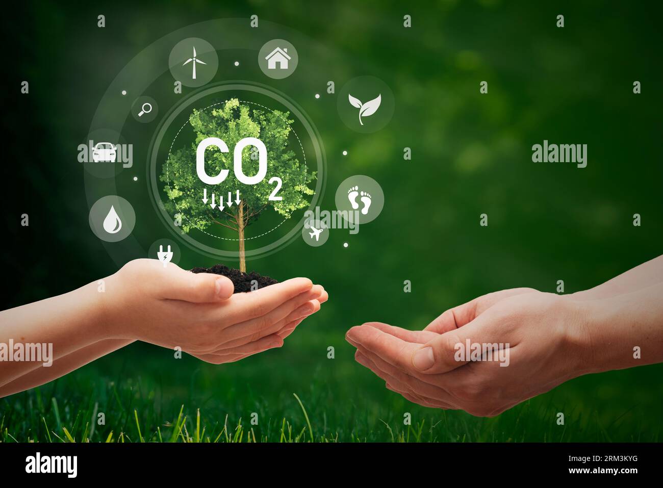 Environmental protection, renewable, sustainable energy sources. Carbon ...