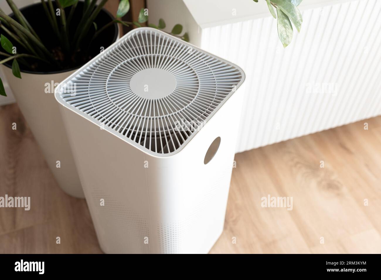 Air purifier in home. Air fresh concept. Smart home devices Stock Photo ...