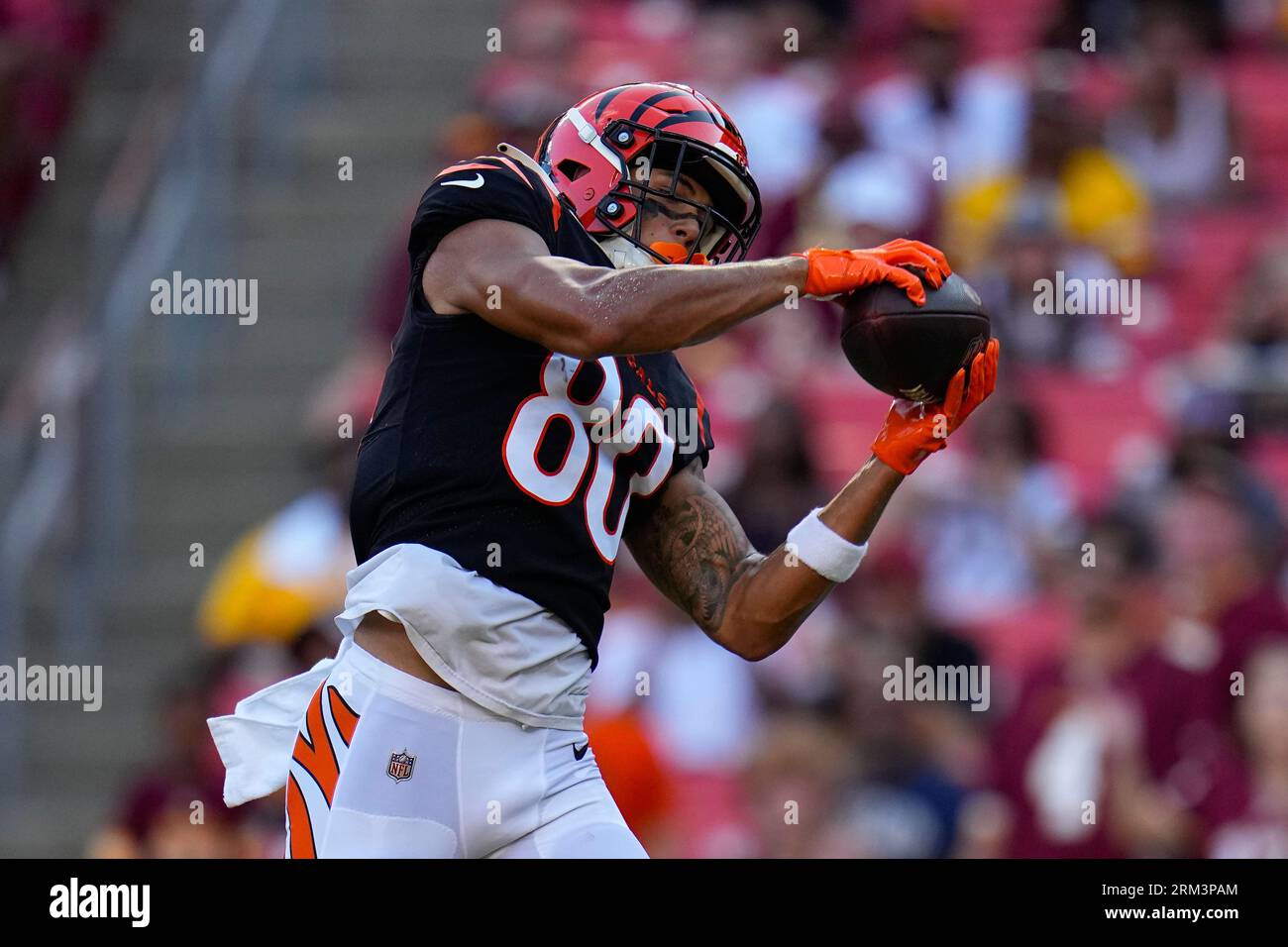 Cincinnati Bengals wide receiver Andrei Iosivas (80) making a touchdown ...