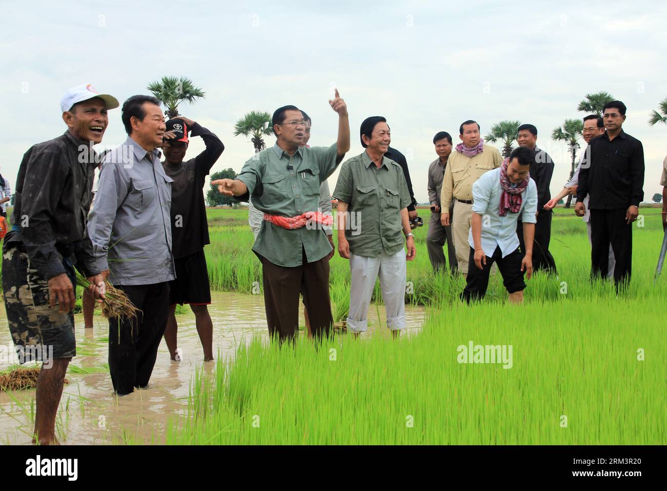 Cambodian farmers plant rice rice hi-res stock photography and images ...