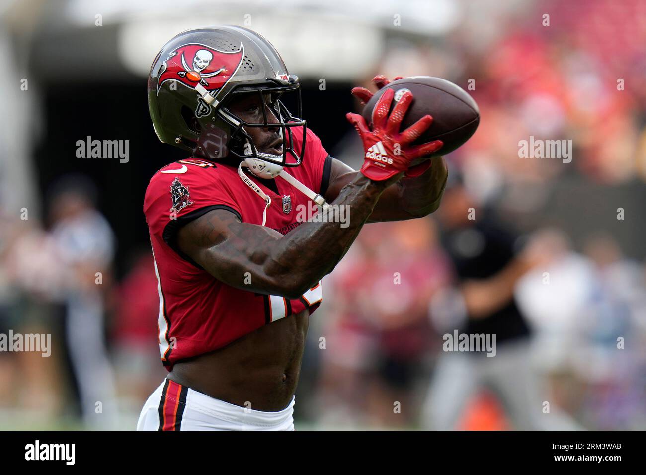Tampa Bay Buccaneers wide receiver David Moore warms up prior to an NFL ...