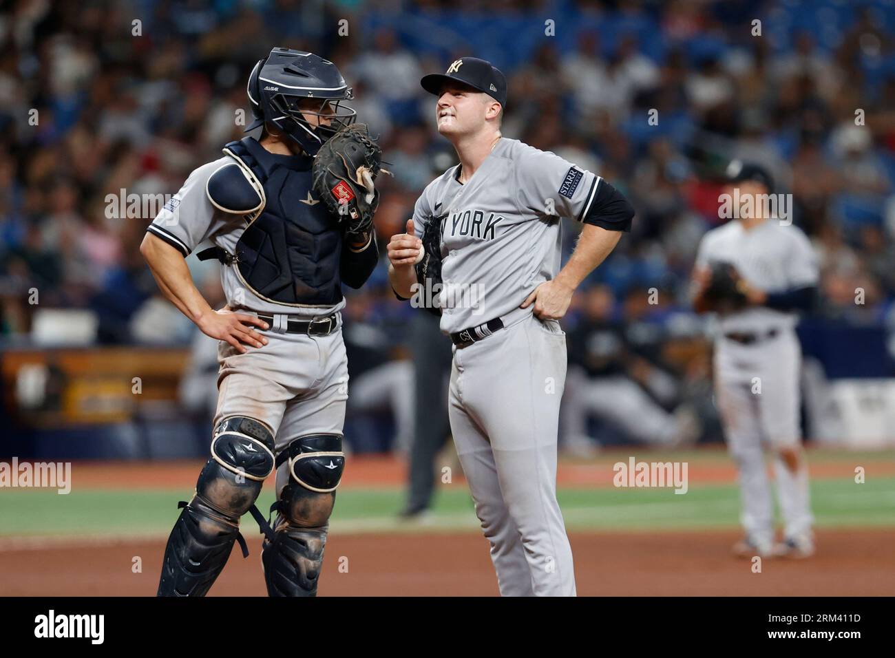 New York Yankees catcher Ben Rortvedt talks with New York Yankees ...