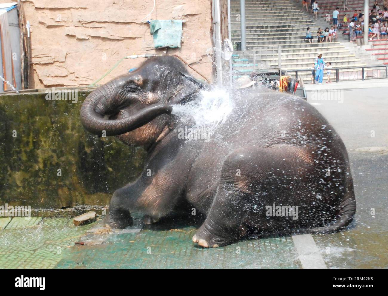 Dalian zoo hi-res stock photography and images - Alamy