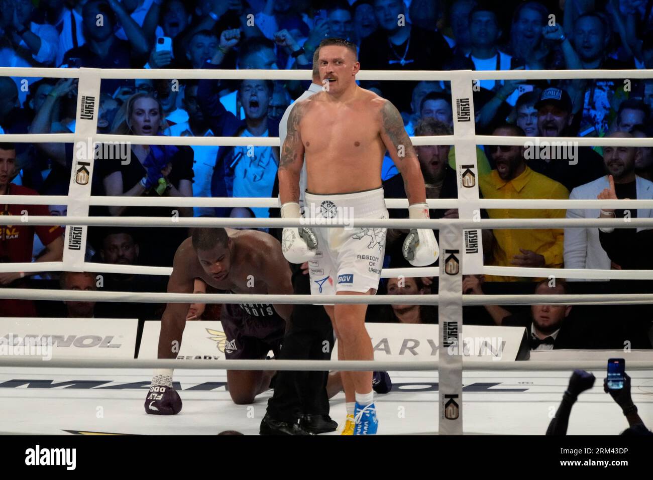Ukraine's Oleksandr Usyk waits as Britain's Daniel Dubois takes a knee ...