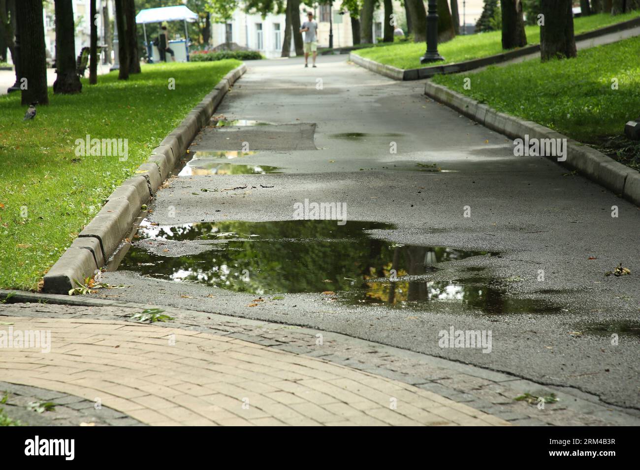 Puddle of rain water on pathway outdoors Stock Photo - Alamy