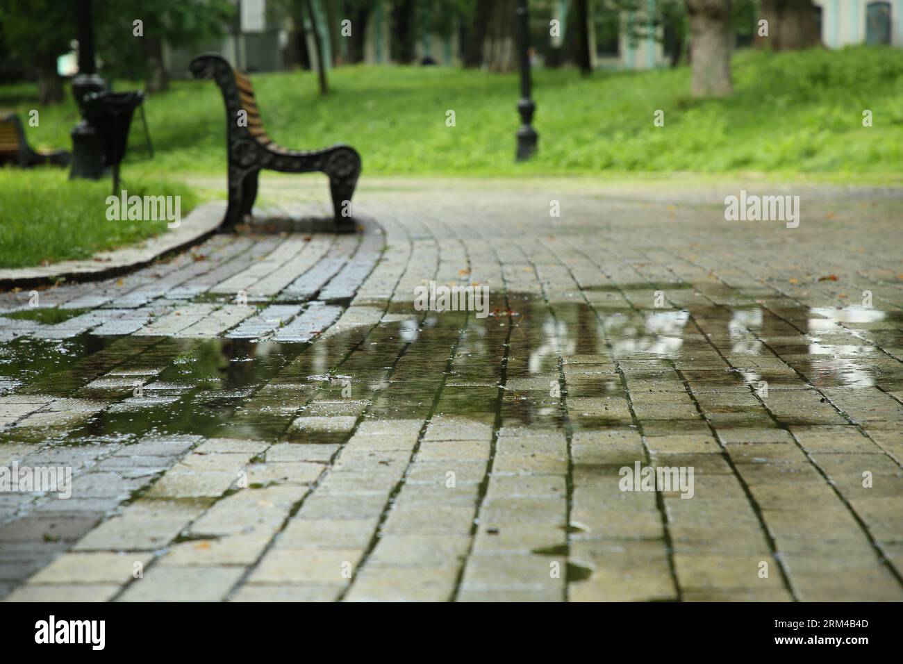 Puddle of rainwater on pavement hi-res stock photography and images - Alamy