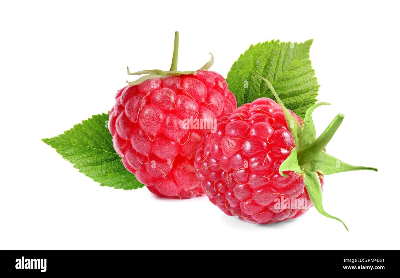 Fresh ripe raspberries with green leaves isolated on white Stock Photo ...