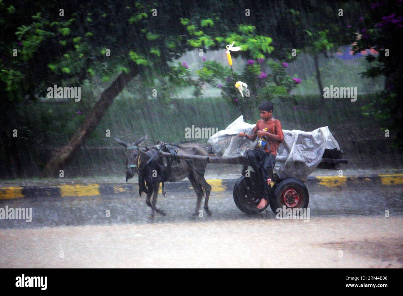 Donkey in the rain hi-res stock photography and images - Alamy