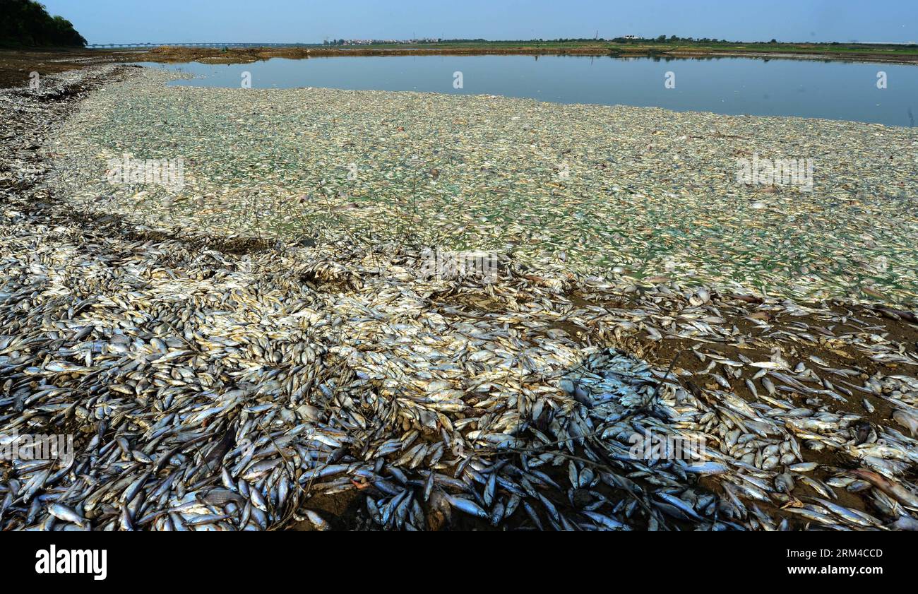 Nitrogen water pollution hi-res stock photography and images - Alamy