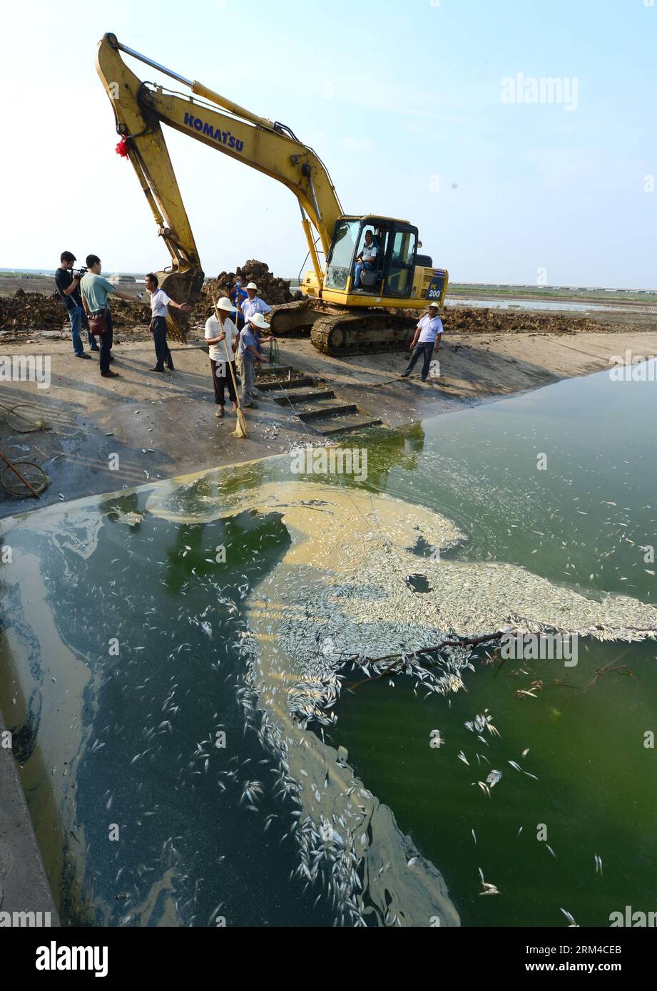 Nitrogen water pollution hi-res stock photography and images - Alamy