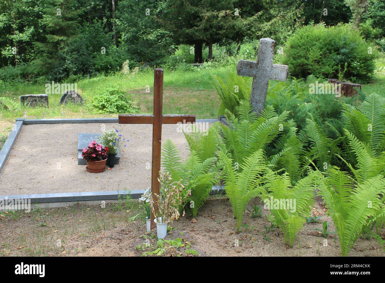 Two crosses with ferns at a cemetery in Sece, Latvia Stock Photo - Alamy