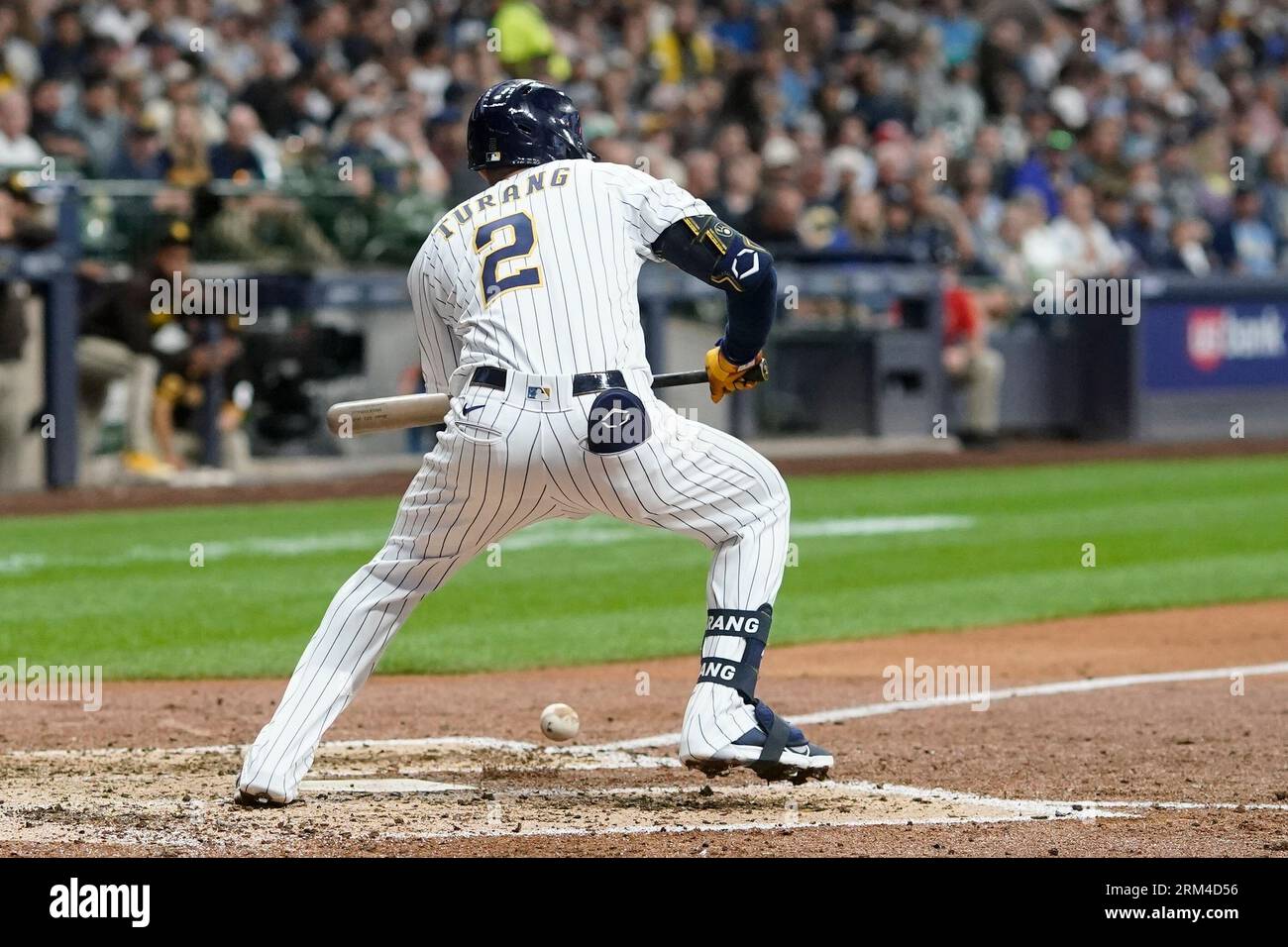 Milwaukee Brewers' Brice Turang bunts for a single during the fifth ...
