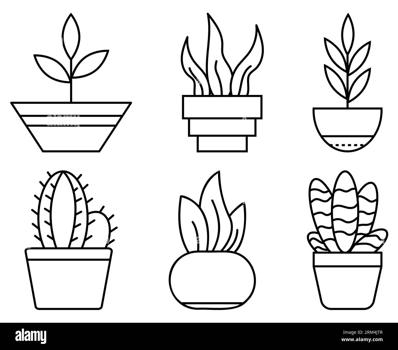 Indoor plant palm tree Black and White Stock Photos & Images - Alamy