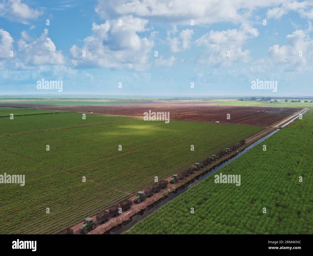 Sugar cane fields with tractors and canal in Florida. Aerial view Stock ...