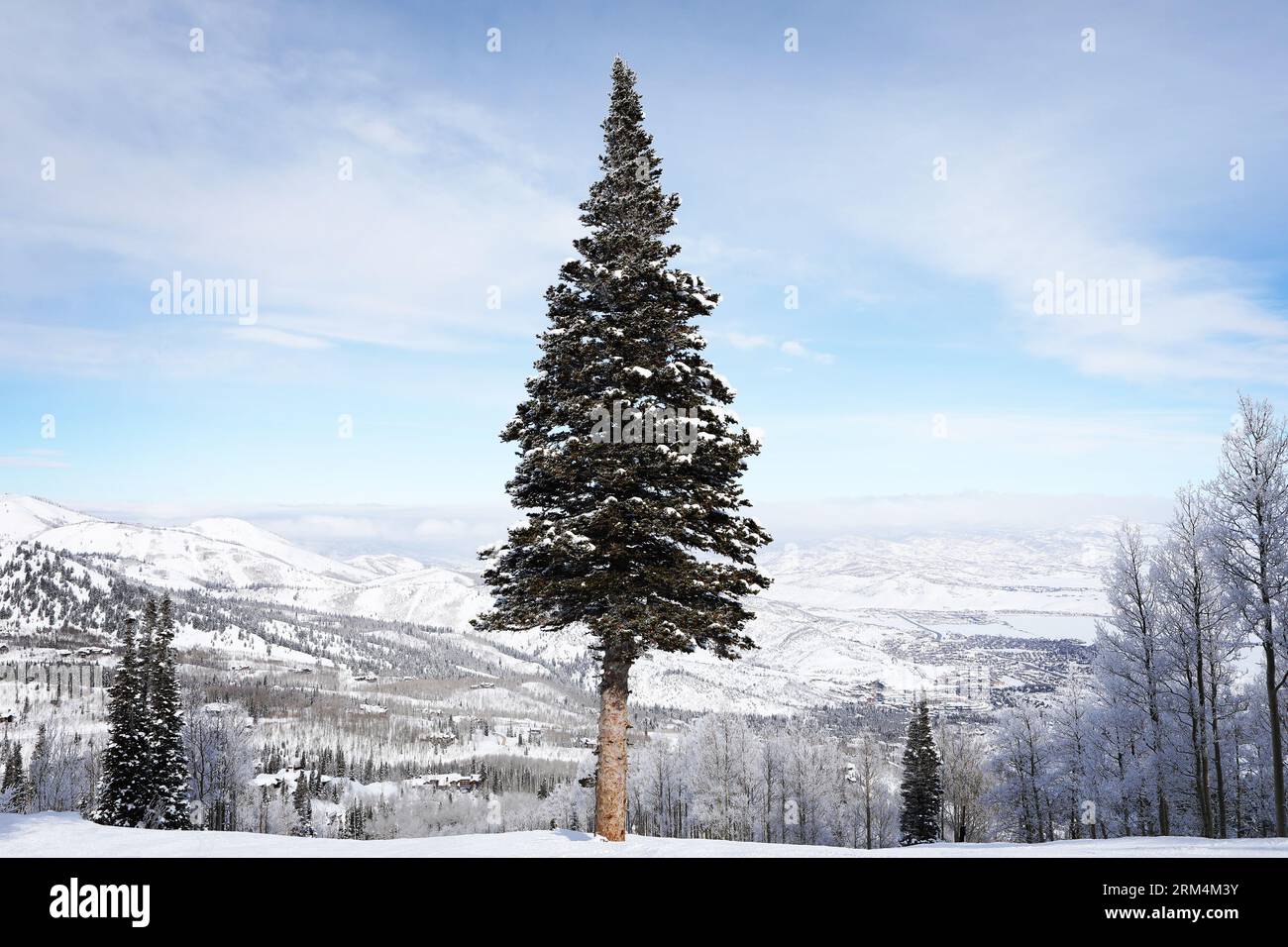 Rocky mountain backdrop hi-res stock photography and images - Alamy